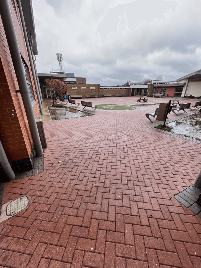 A Huge Thank You to George from Holmes Outdoor Maintenance! – Chase ...